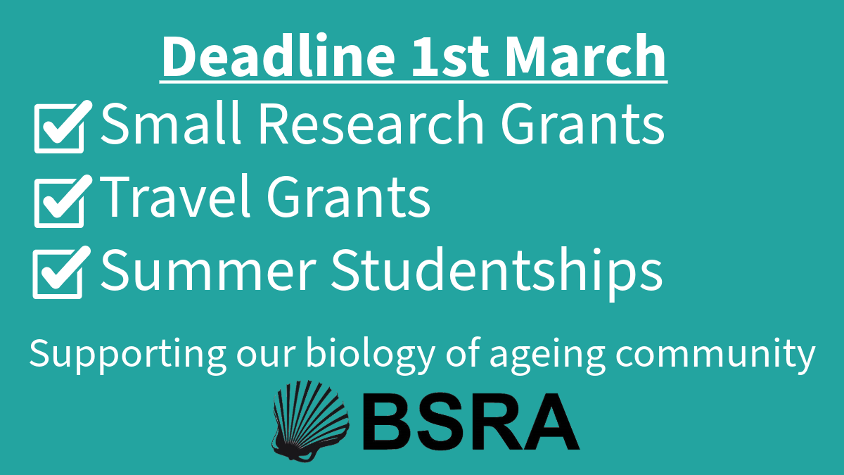 BSRA Open Grant Call: success rates from recent years - BSRA